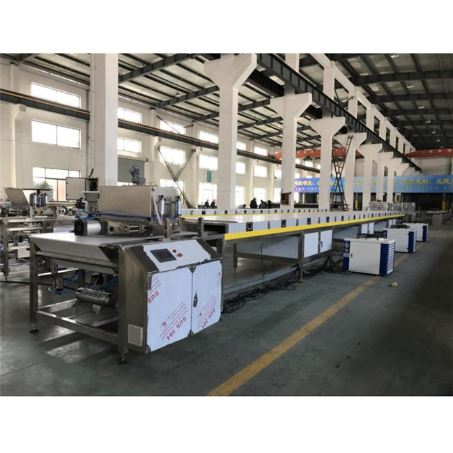 1000mm Chocolate Chip Making Machine
